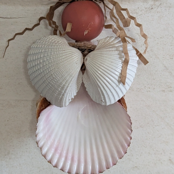 Hand Crafted | Holiday | Angel Shell Ornament Handcrafted Edged In Gold ...